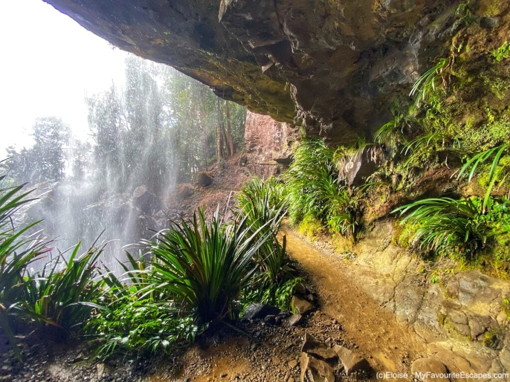 Which Springbrook National Park waterfalls should you visit?