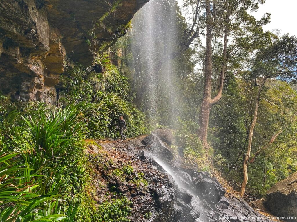 Which Springbrook National Park waterfalls should you visit?