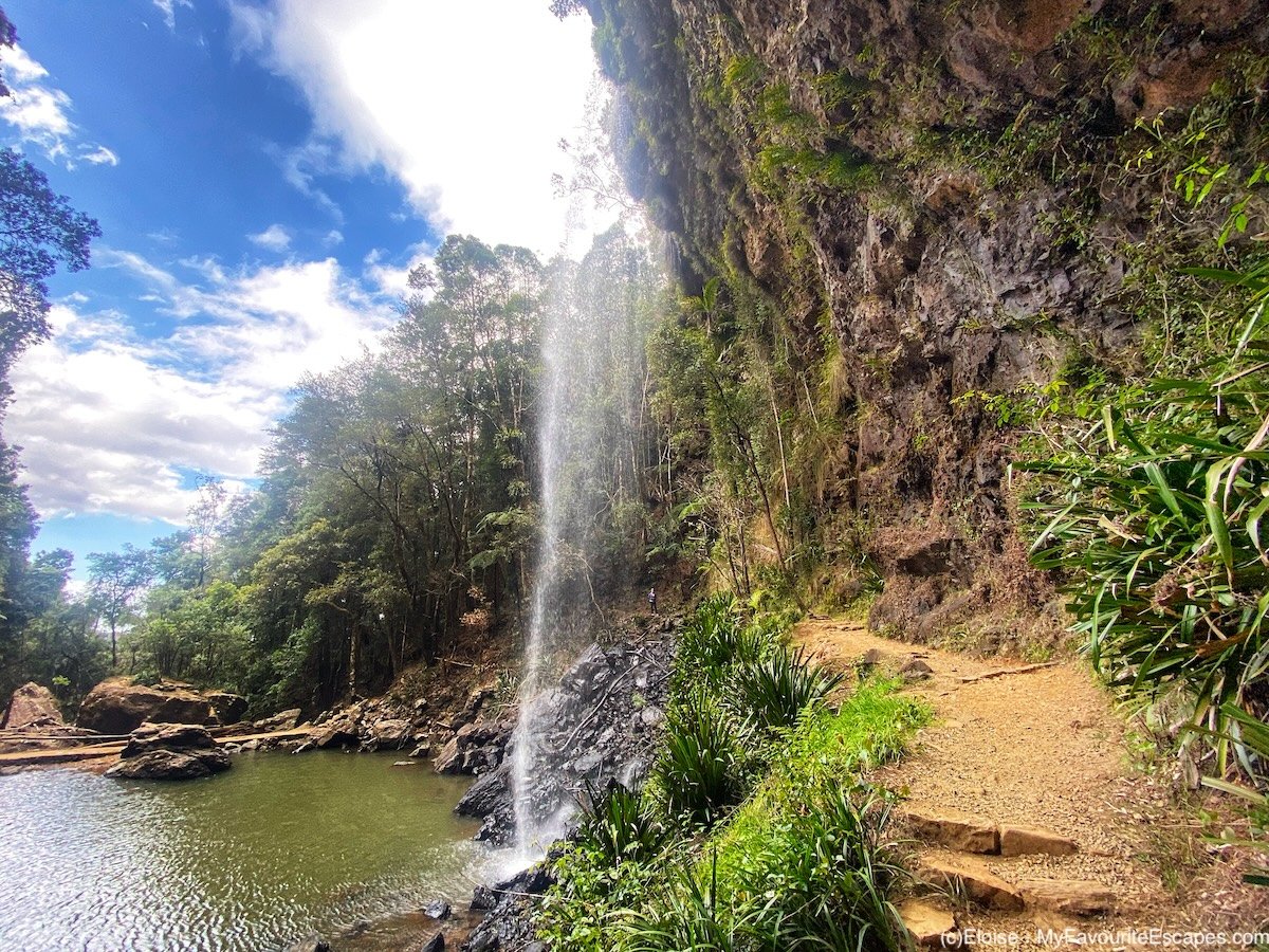 What to do in Springbrook National Park: lookouts, hikes and itinerary ...