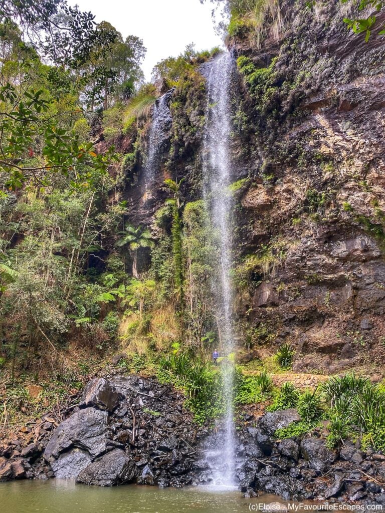 What to do in Springbrook National Park: lookouts, hikes and itinerary ...