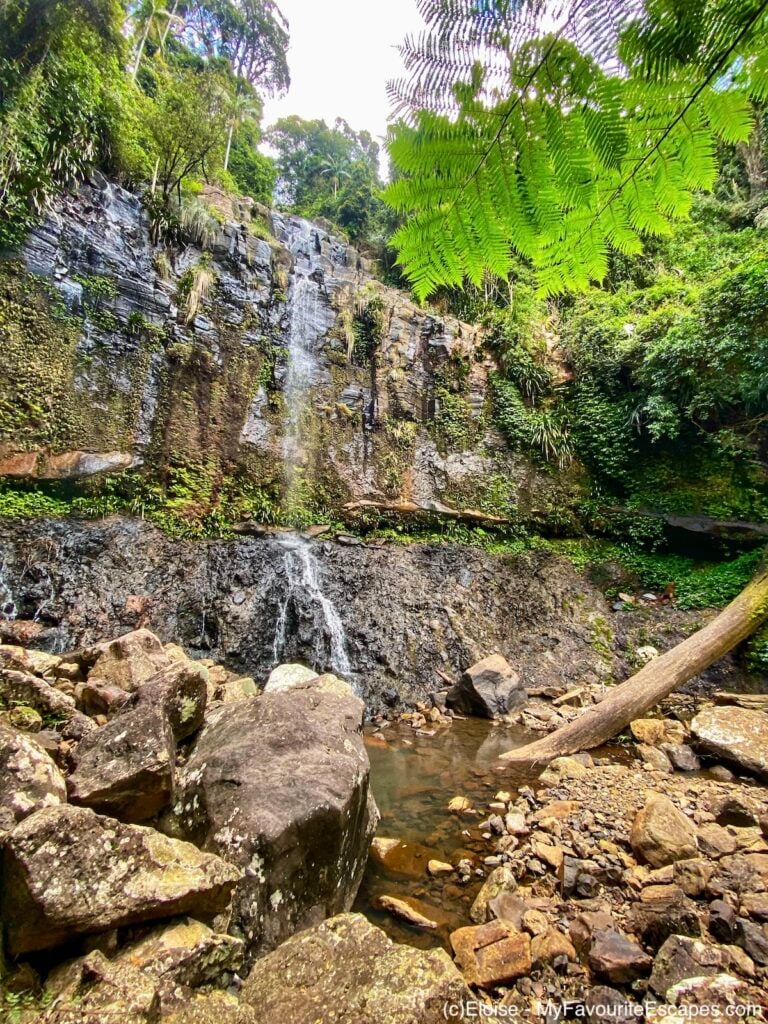 Which Springbrook National Park waterfalls should you visit?