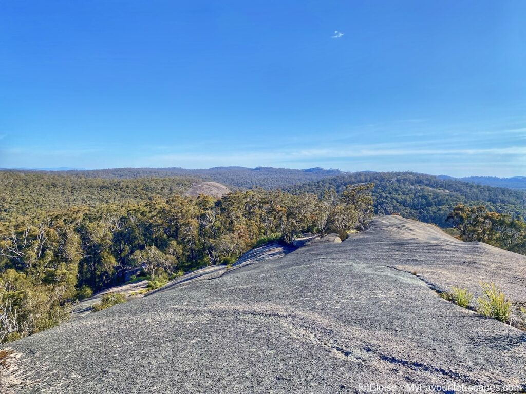 Bald Rock National Park walking tracks: which ones are worth doing