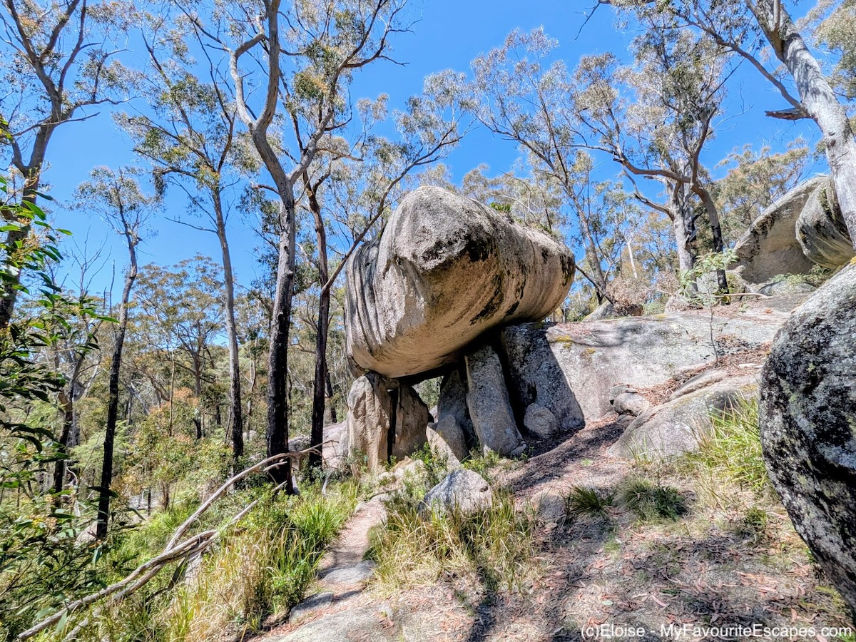 Bald Rock National Park walking tracks: which ones are worth doing