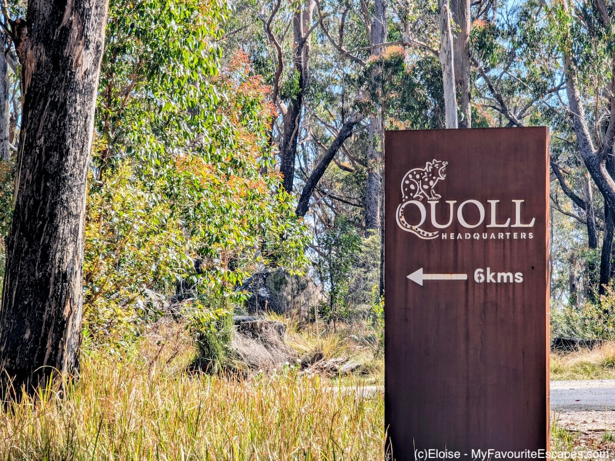 Visiting Quoll Headquarters and learning about wildlife conservation