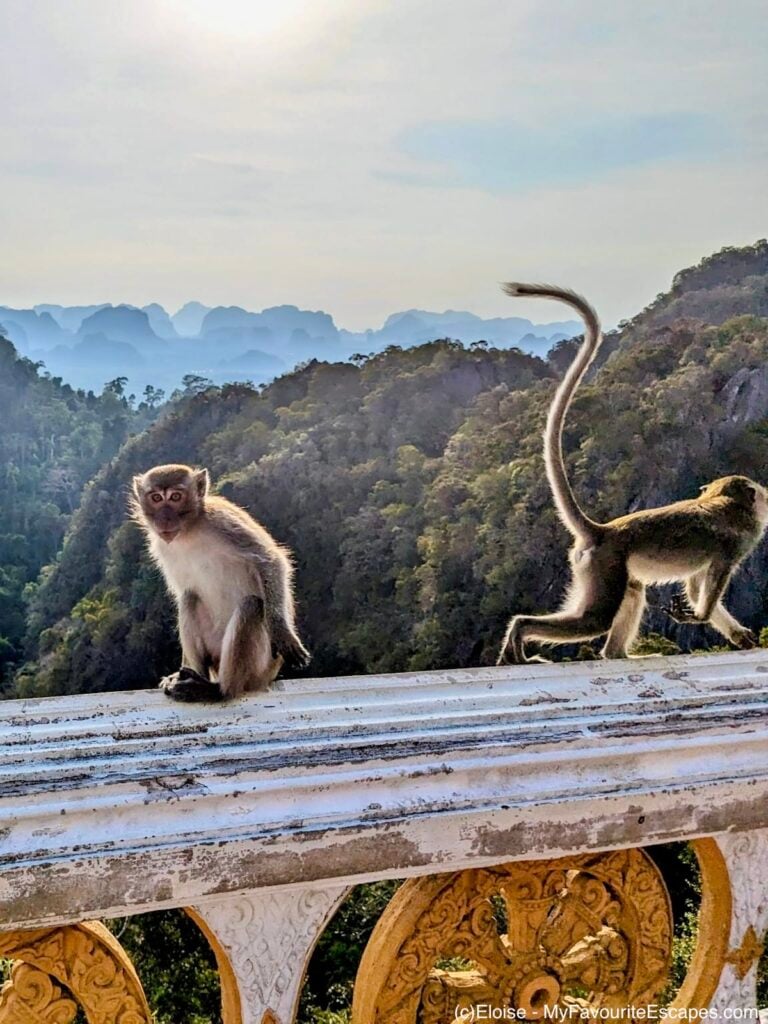Tiger Cave Temple in Krabi – how hard are the 1,237 steps?